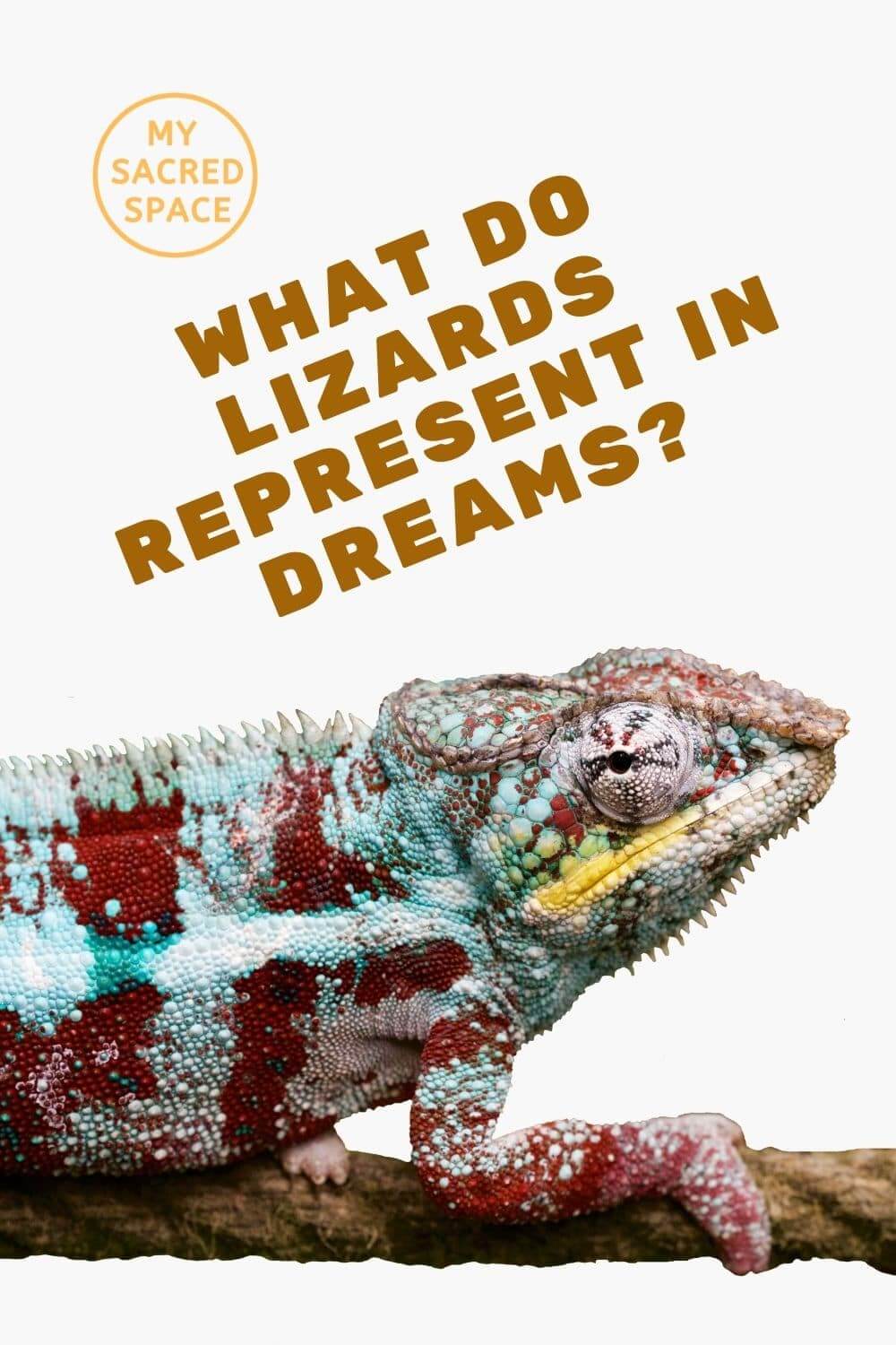 What Does a Lizard Spirit Animal Mean and Symbolize?