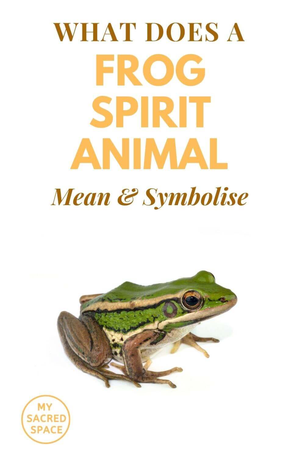 What Does A Frog Spirit Animal Mean And Symbolize My Sacred Space Design What Does A Frog Spirit Animal Mean And Symbolize My Sacred Space Design