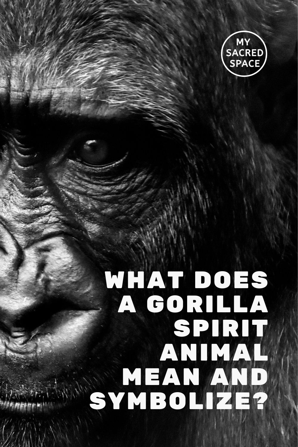 What Does a Gorilla Spirit Animal Mean and Symbolize?