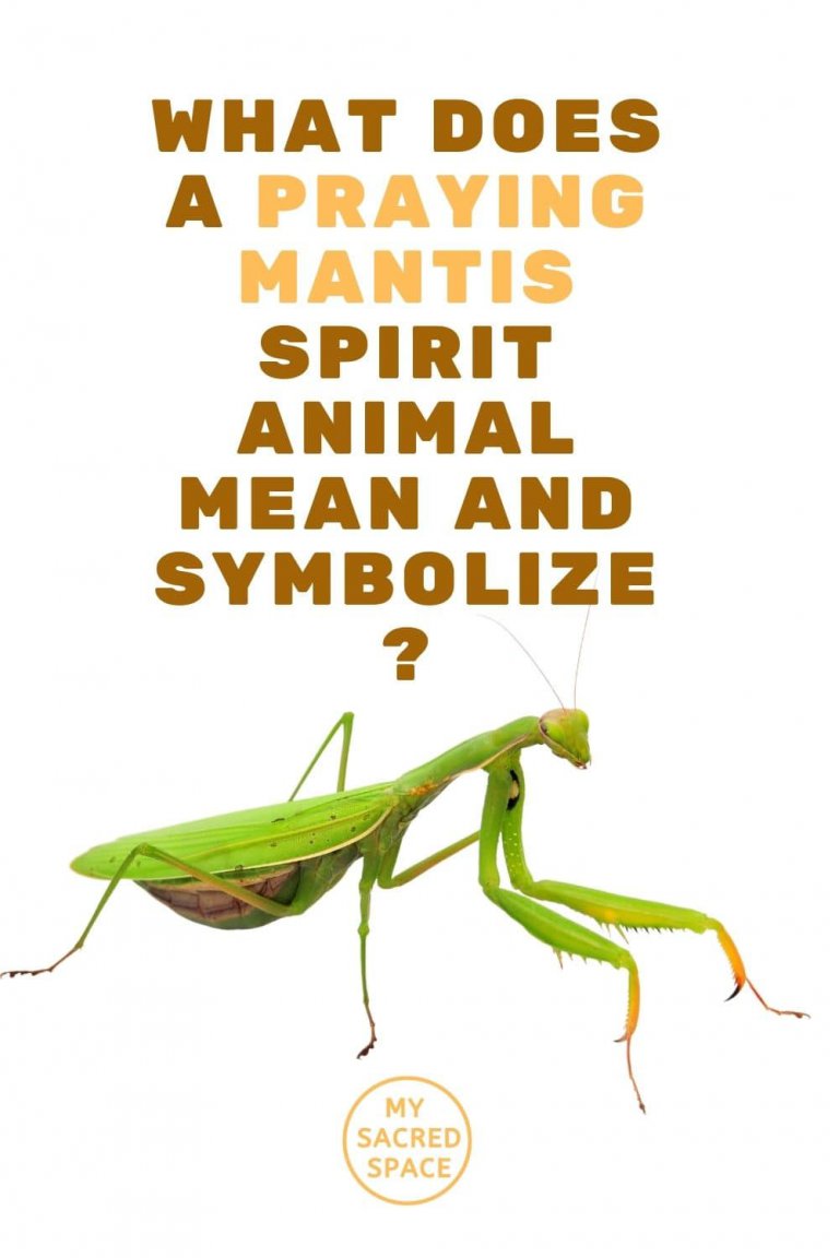 Home 2 - My Sacred Space Design