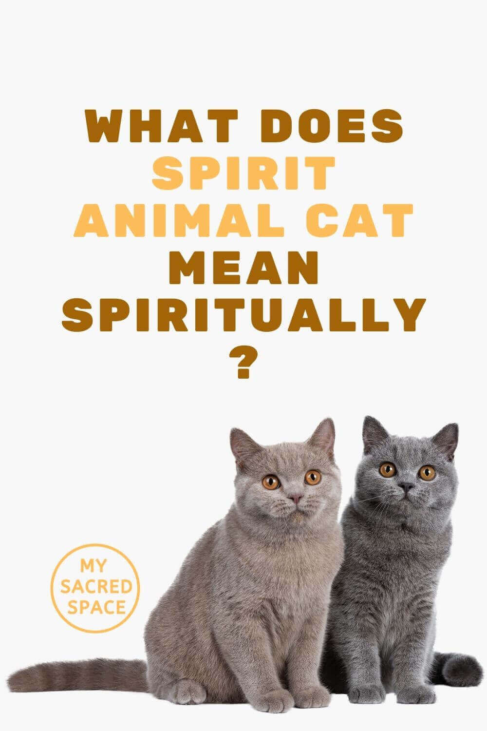 What Does a Cat Spirit Animal Mean and Symbolize? - My Sacred Space Design