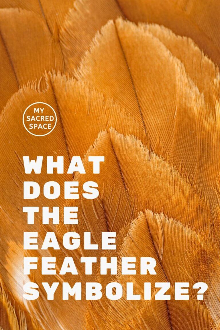 What Do Bird Feathers Symbolize? - My Sacred Space Design