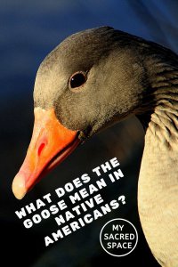 What Does a Goose Spirit Animal Mean and Symbolize?