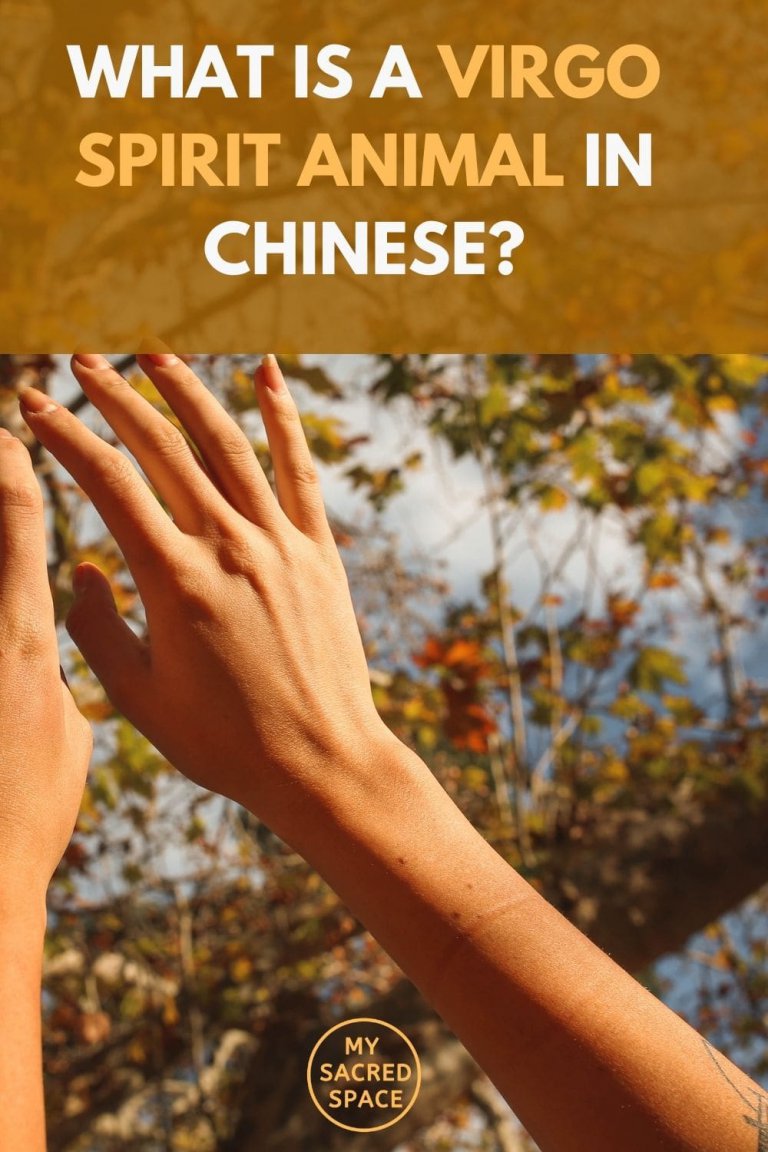 Spirit Animal Virgo: What Is The Spirit Animal For Virgo - My Sacred ...