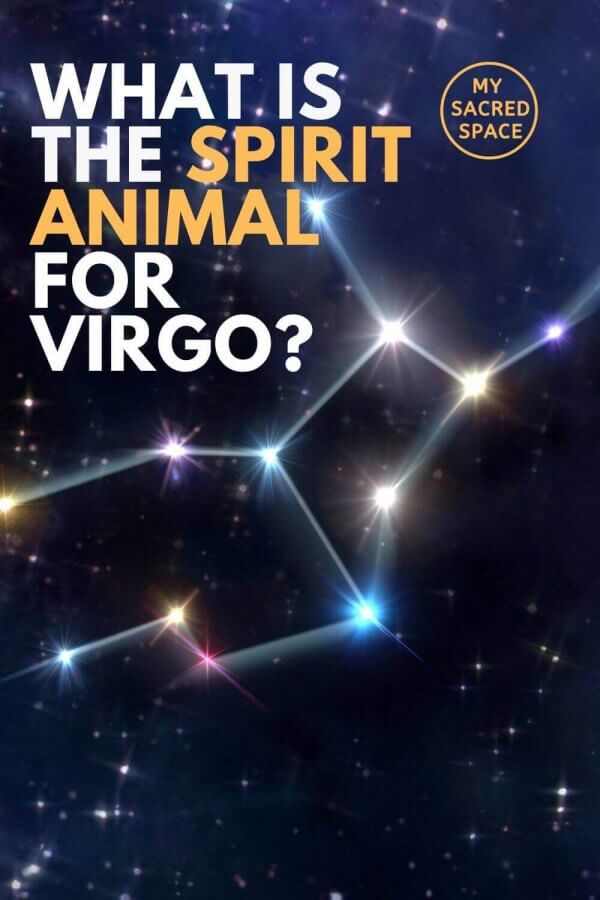 Spirit Animal Virgo: What Is The Spirit Animal For Virgo - My Sacred ...