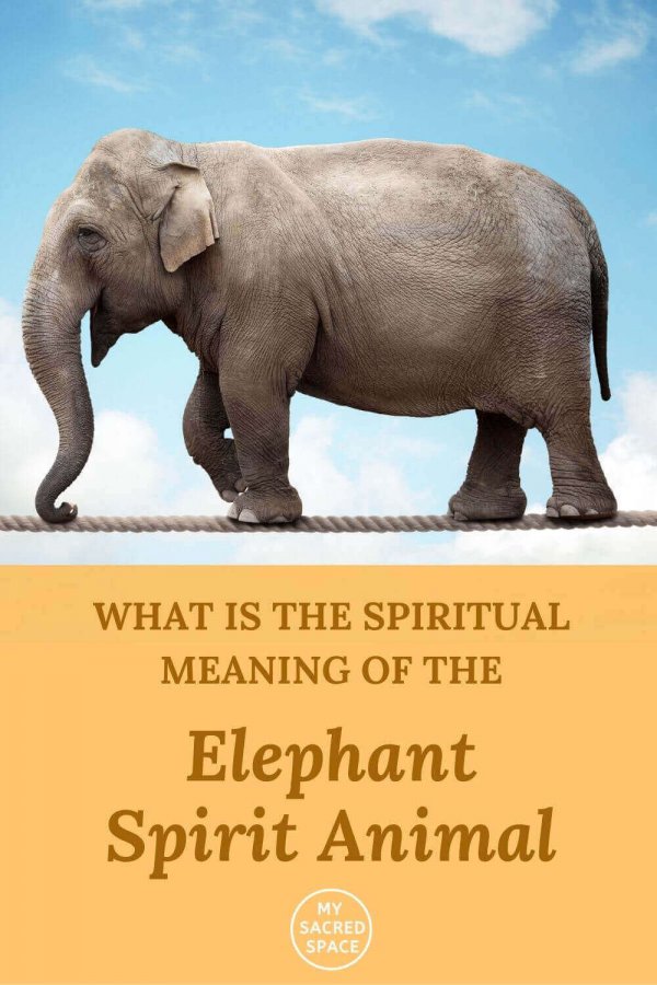 What Does an Elephant Spirit Animal Mean and Symbolise? - My Sacred ...