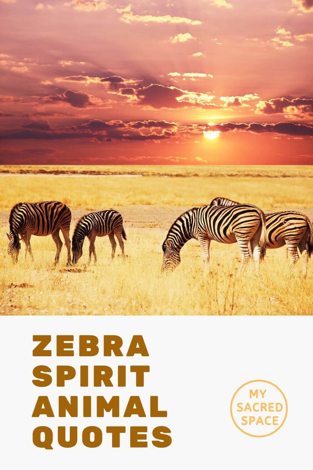 What Does a Zebra Spirit Animal Mean and Symbolize?
