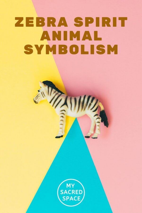 What Does a Zebra Spirit Animal Mean and Symbolize?